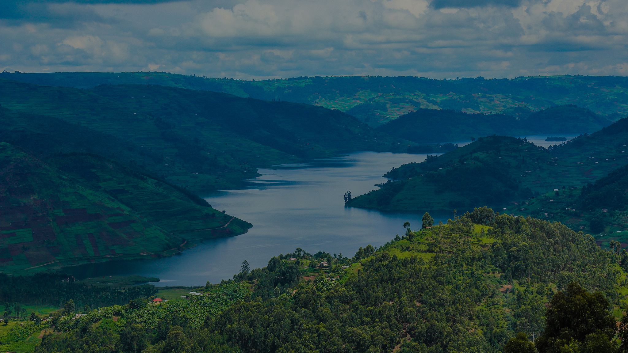 Uganda and Rwanda Safaris - Curious Tours Africa